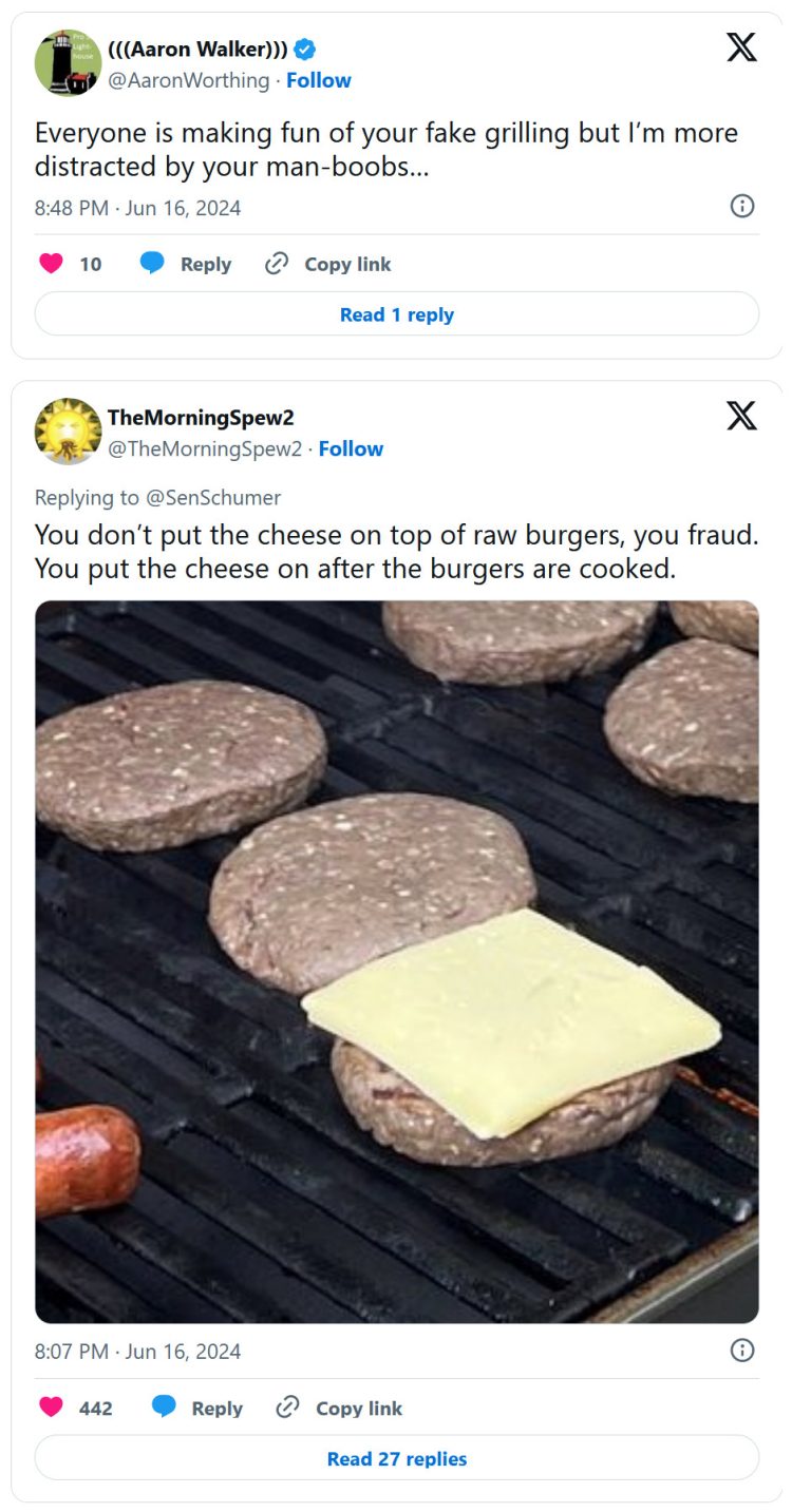 Instapundit » Blog Archive » POLITICIAN GRILLED: Chuck Schumer Posts ...