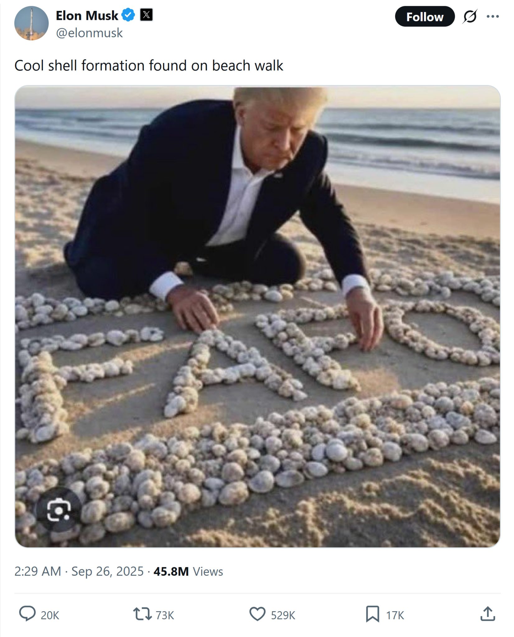 Instapundit » Blog Archive » THE POWER LINE WEEK IN PICTURES: Seashells ...